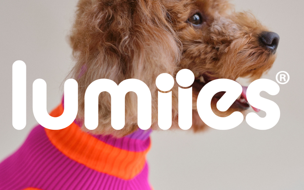 Dackel im Winter: Dackel Mantel, Dackel Pullover & Neon-Partnerlook ...