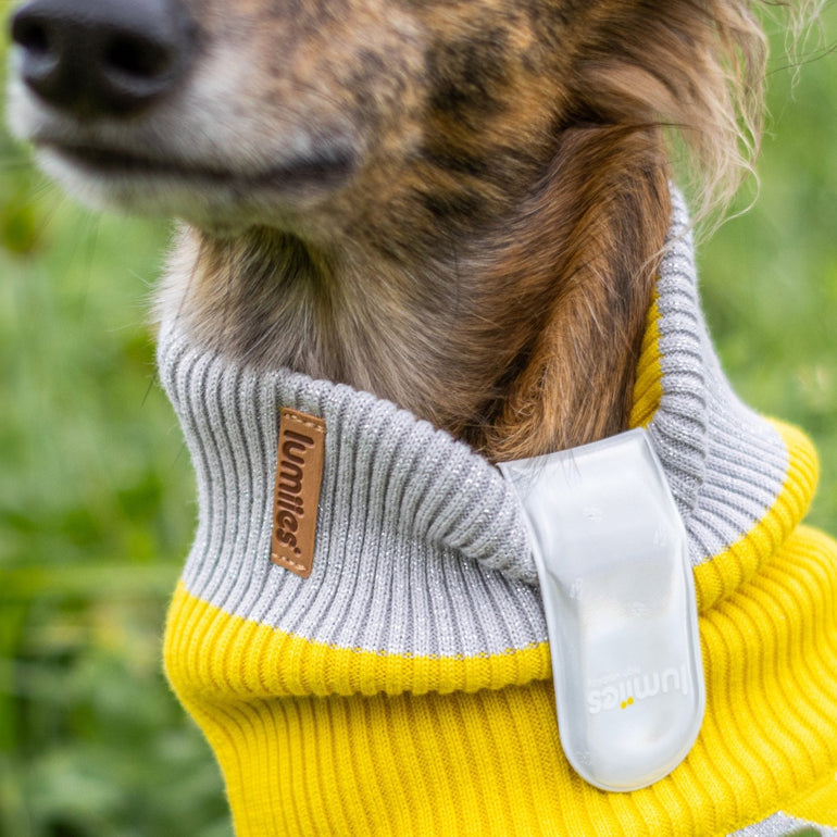 Kollektionen – lumiies - high visibility